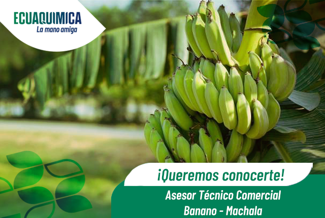 Nuevas oportunidades de empleo: Asesor Técnico Comercial - Cultivo de ...